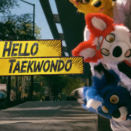 Hello Taekwondo - Atlanta Interfaith Broadcast Network, Inc.